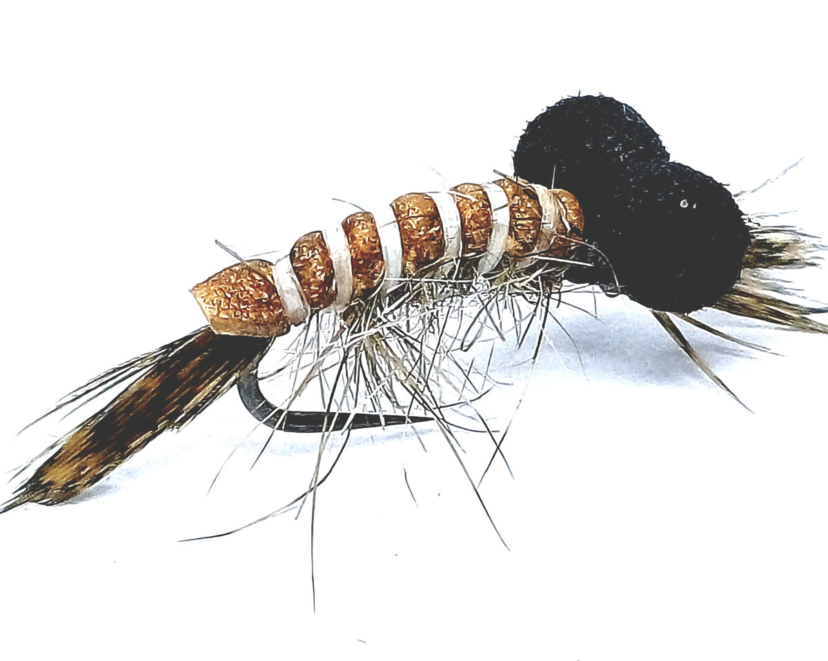 Anglian Waters Forager4 Booby Shrimp Fly CODE HBS12 (S12) – FlashAttackFlies