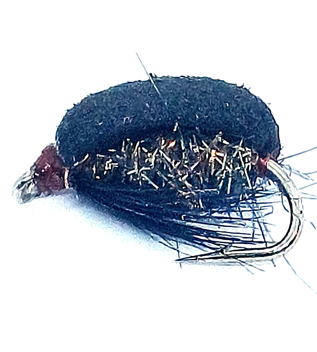 Coch-Y-Bonddu Beetle CODE J108 (s12,14) – FlashAttackFlies