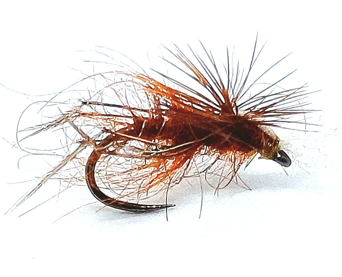 Crippled Midge Fly Fiery Brown CODE BD49 (s10,12,14) – FlashAttackFlies