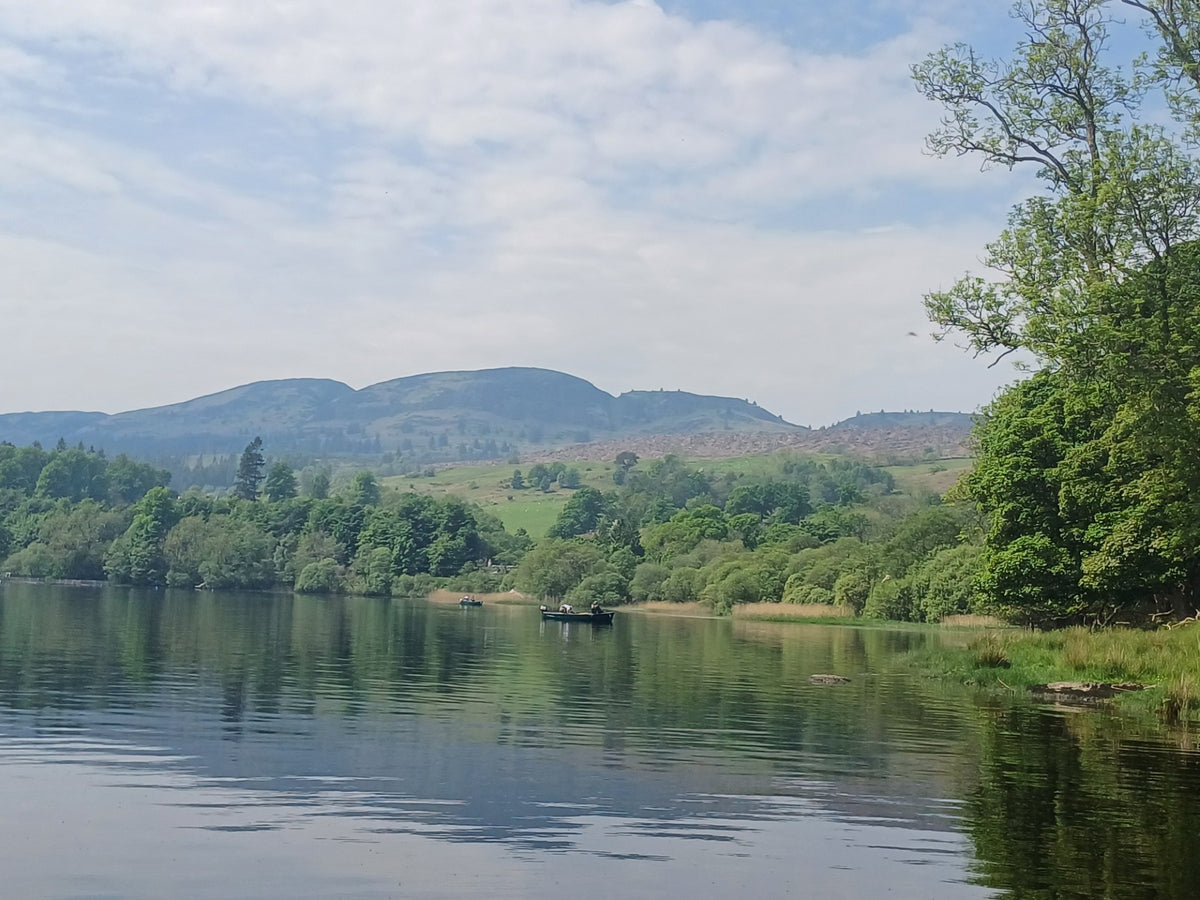 Magical Menteith - 6 Flies And A 4 Day Average Of 26 Fish – FlashAttackFlies