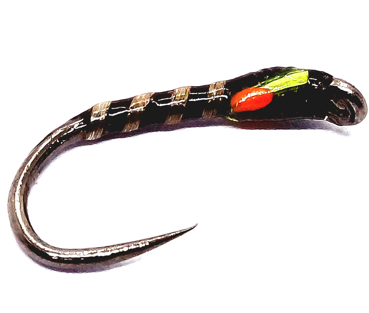 Hatching Buzzer Pupae CODE HHB29 (s10,12) – FlashAttackFlies