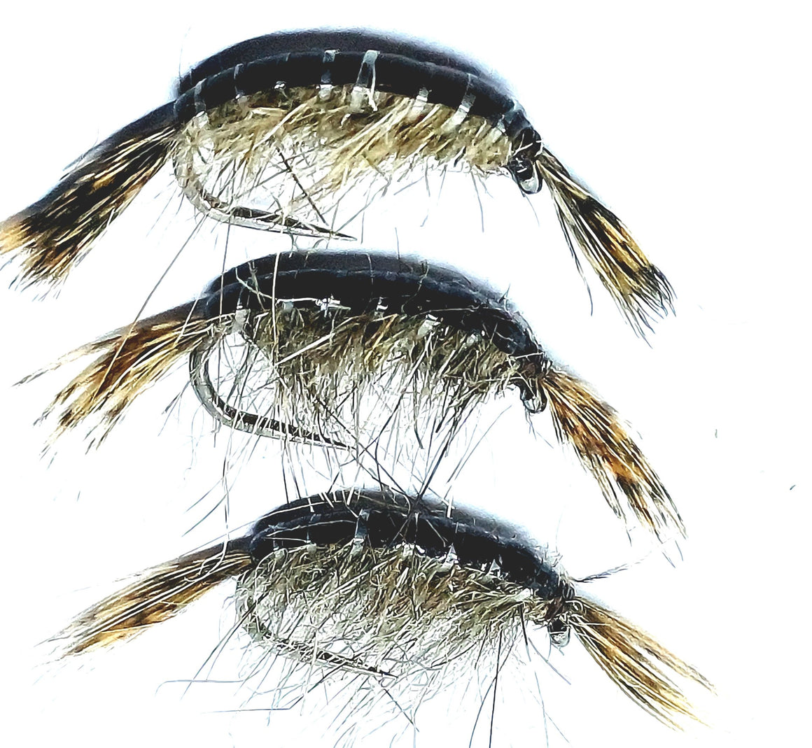 Anglian Waters' Hybrid Shrimps – FlashAttackFlies
