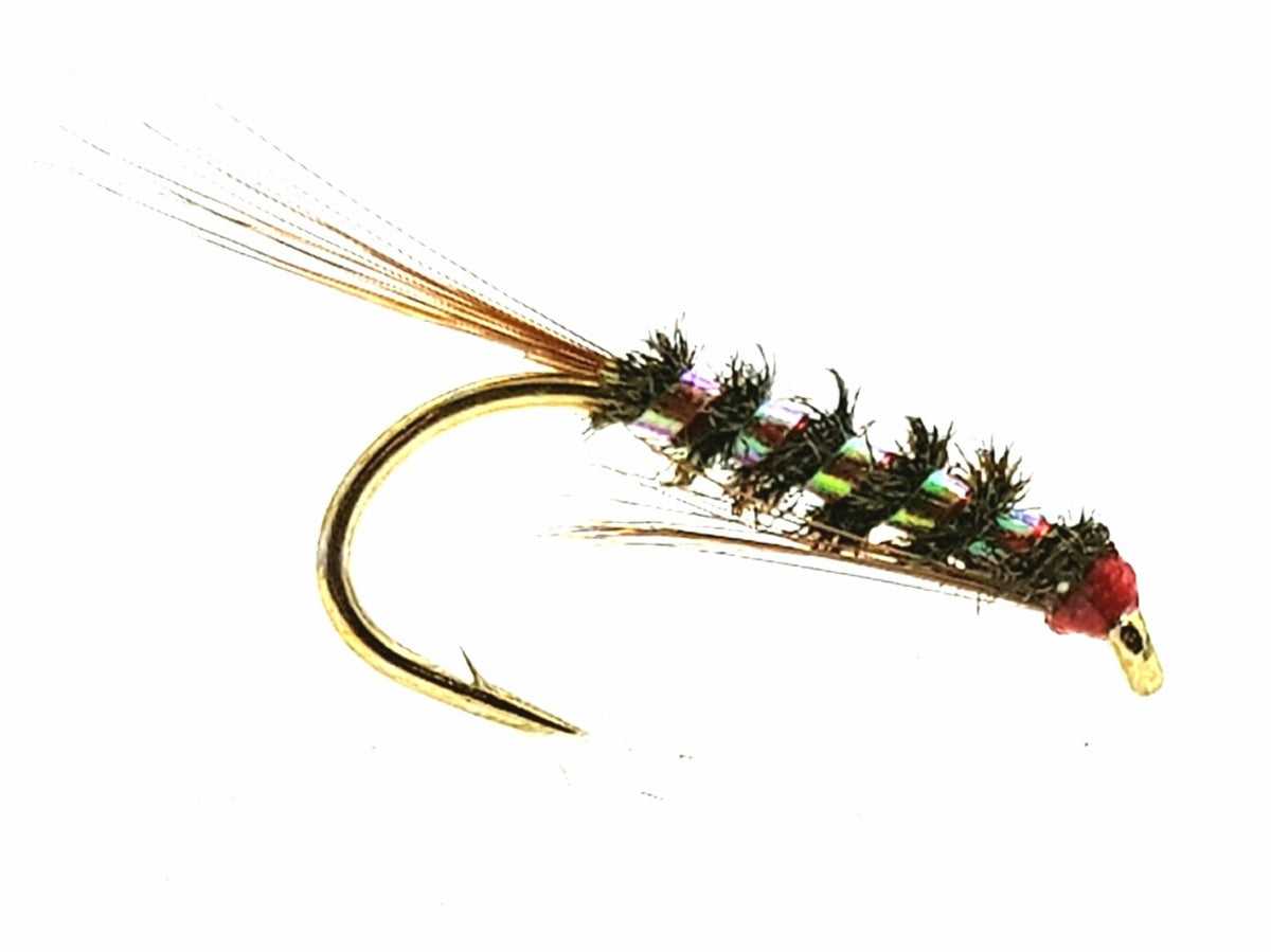 Traffic Light Diawl Bach Trout Fly – FlashAttackFlies