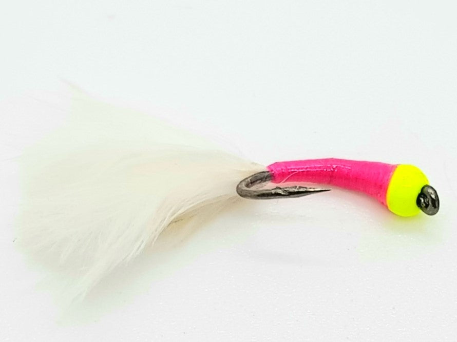 Cat Bung Bugs – FlashAttackFlies